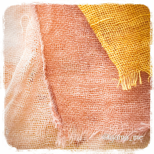 当節鱗葉草子（a part of it.）: yama_me * mo - やまメ*モ